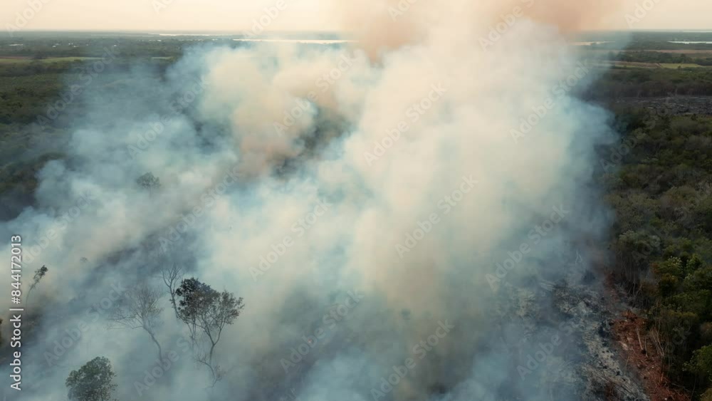 Humo sobre bosque causado por incendio forestal sobre campos y bosques ...