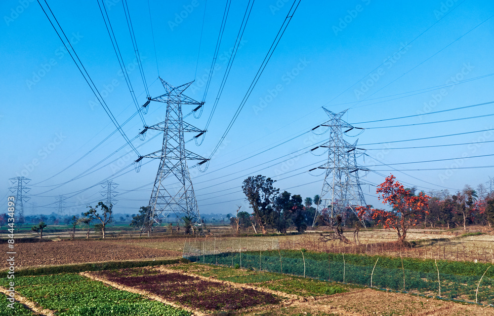 rows of electricity transmission towers across fields in Baghmundi ...