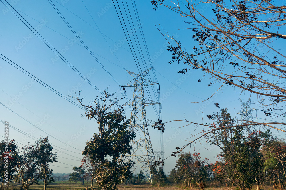 rows of electricity transmission towers across fields in Baghmundi ...
