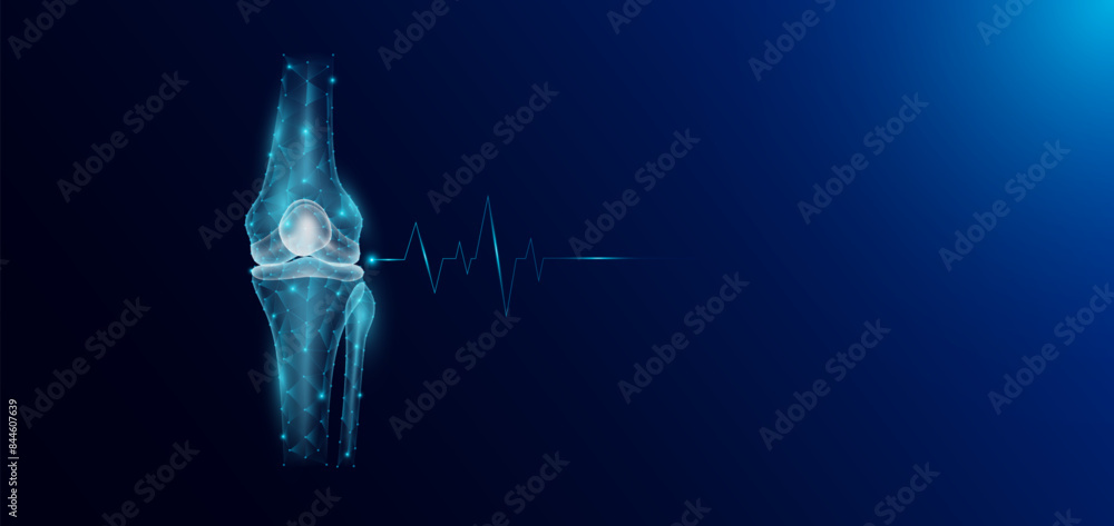 Knee joint bone human organ skeleton anatomy in form style polygon low ...