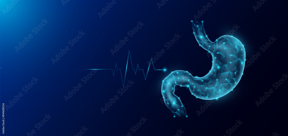 Stomach human organ anatomy in form style polygon low poly futuristic ...