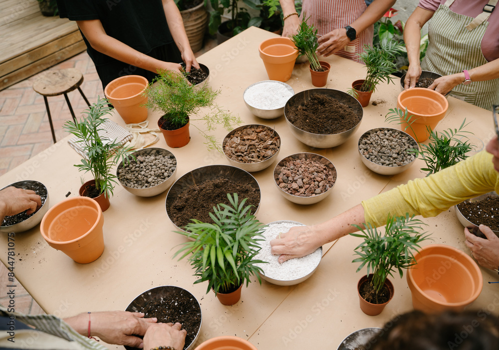 Group of elderly people replanting house plants. table with soil, bowls ...