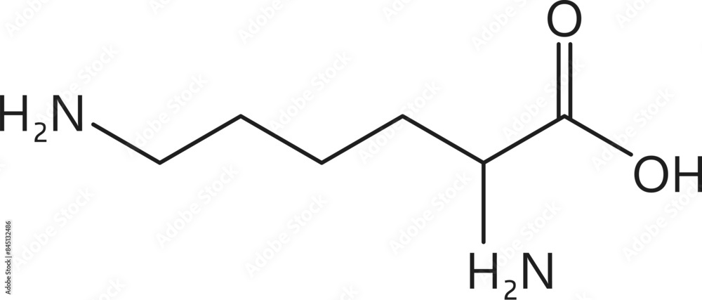 Lysine amino acid chemical molecule, essential chain structure ...