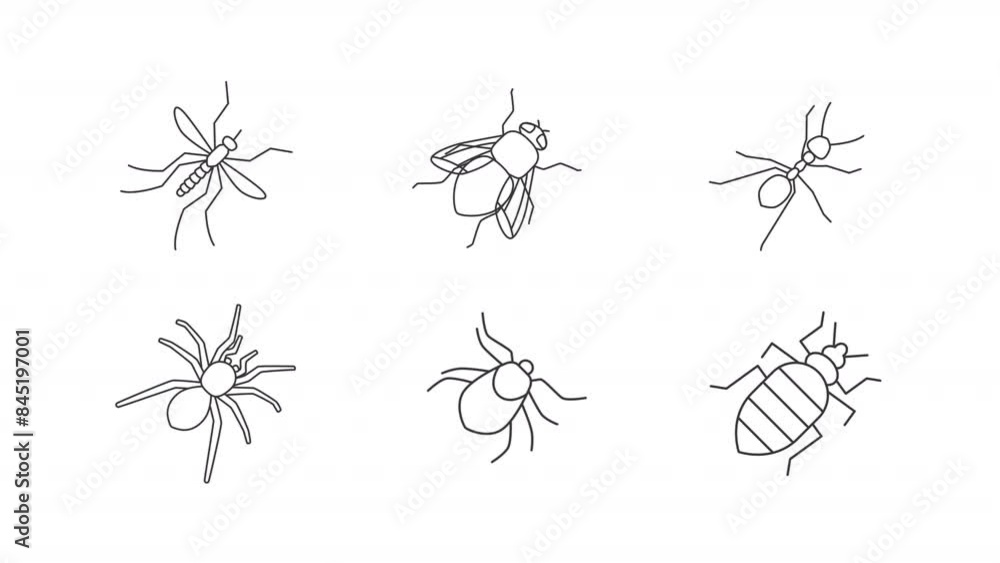Animated bugs icons. Roaches line animation library. Moving species ...