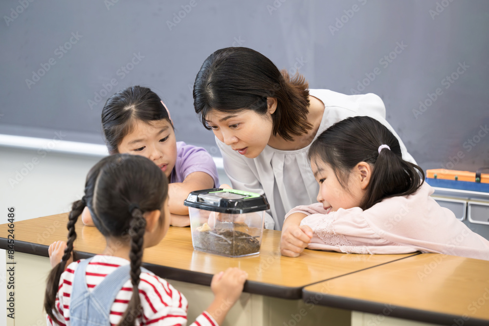 Elementary school students keeping beetles and insects in the classroom ...