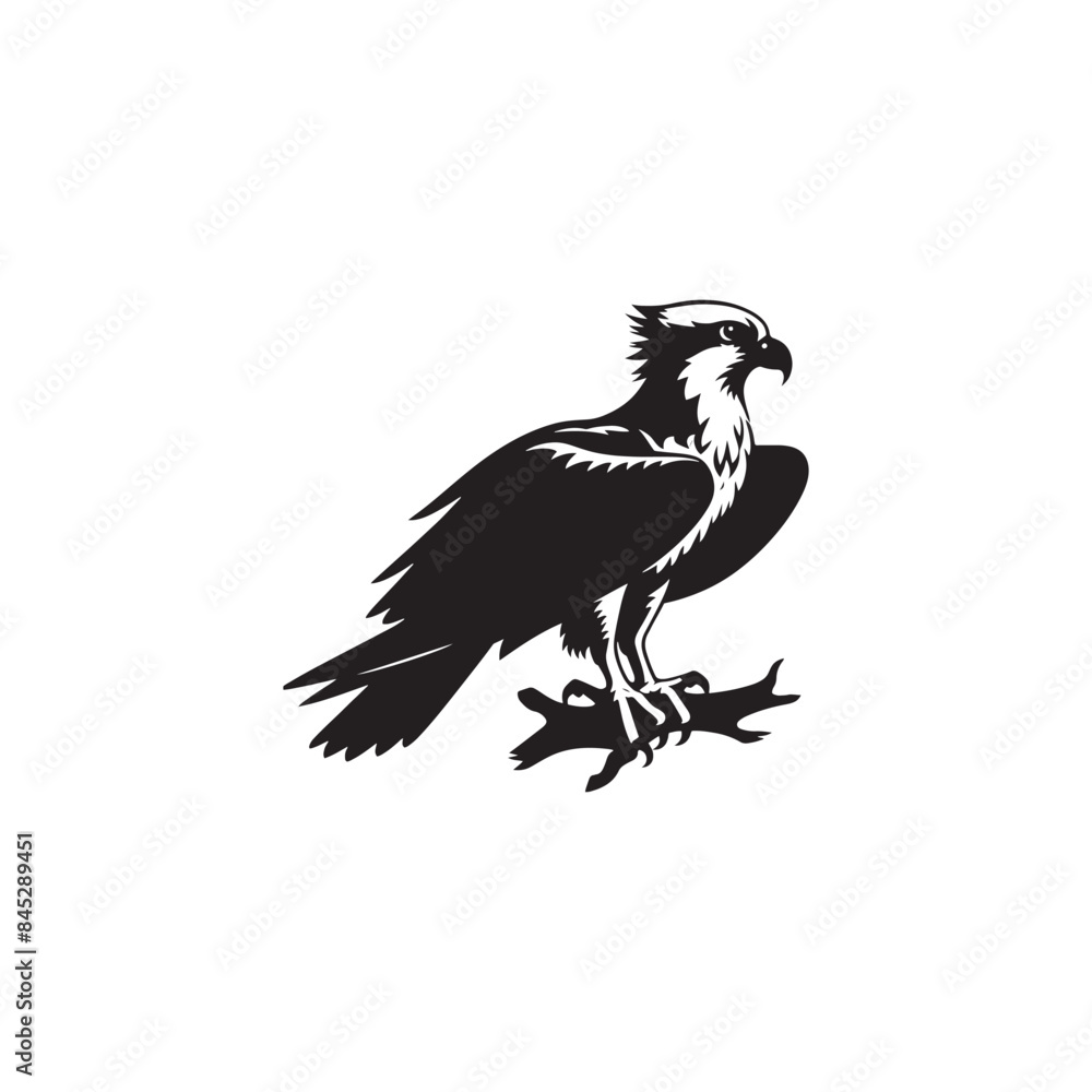 Osprey Bird Silhouette: Vector Graphics Depicting the Agile Flight and ...