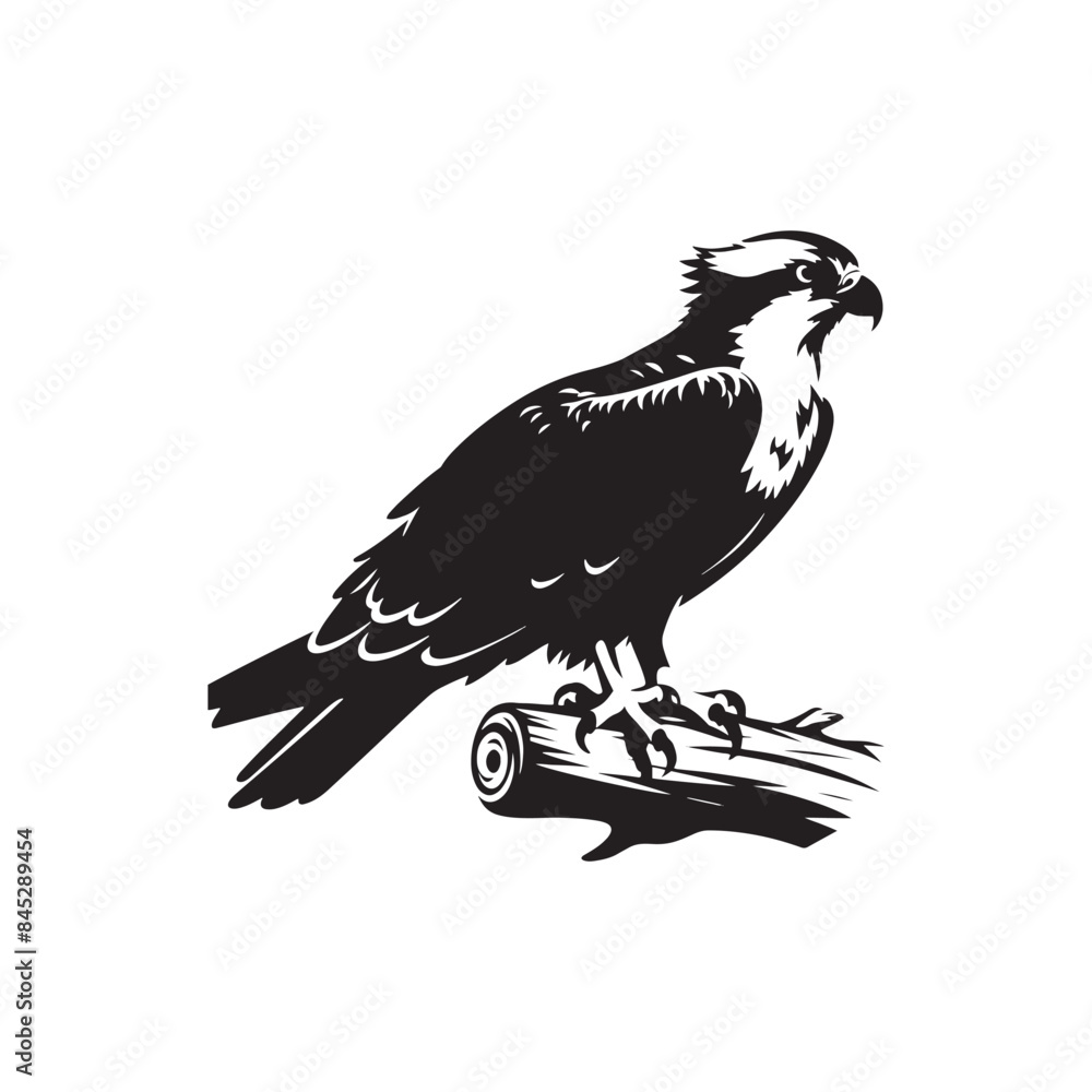 Osprey Bird Silhouette Vector Graphics Depicting The Agile Flight And