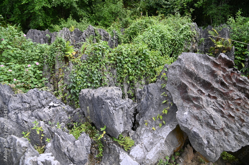 Bau, Malaysia - June 10 2024: The Paku Rock Maze Garden of Borneo ...