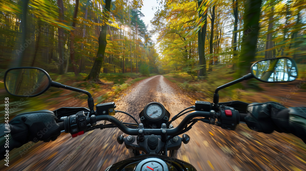 The first-person perspective of riding a motorcycle through the forest ...
