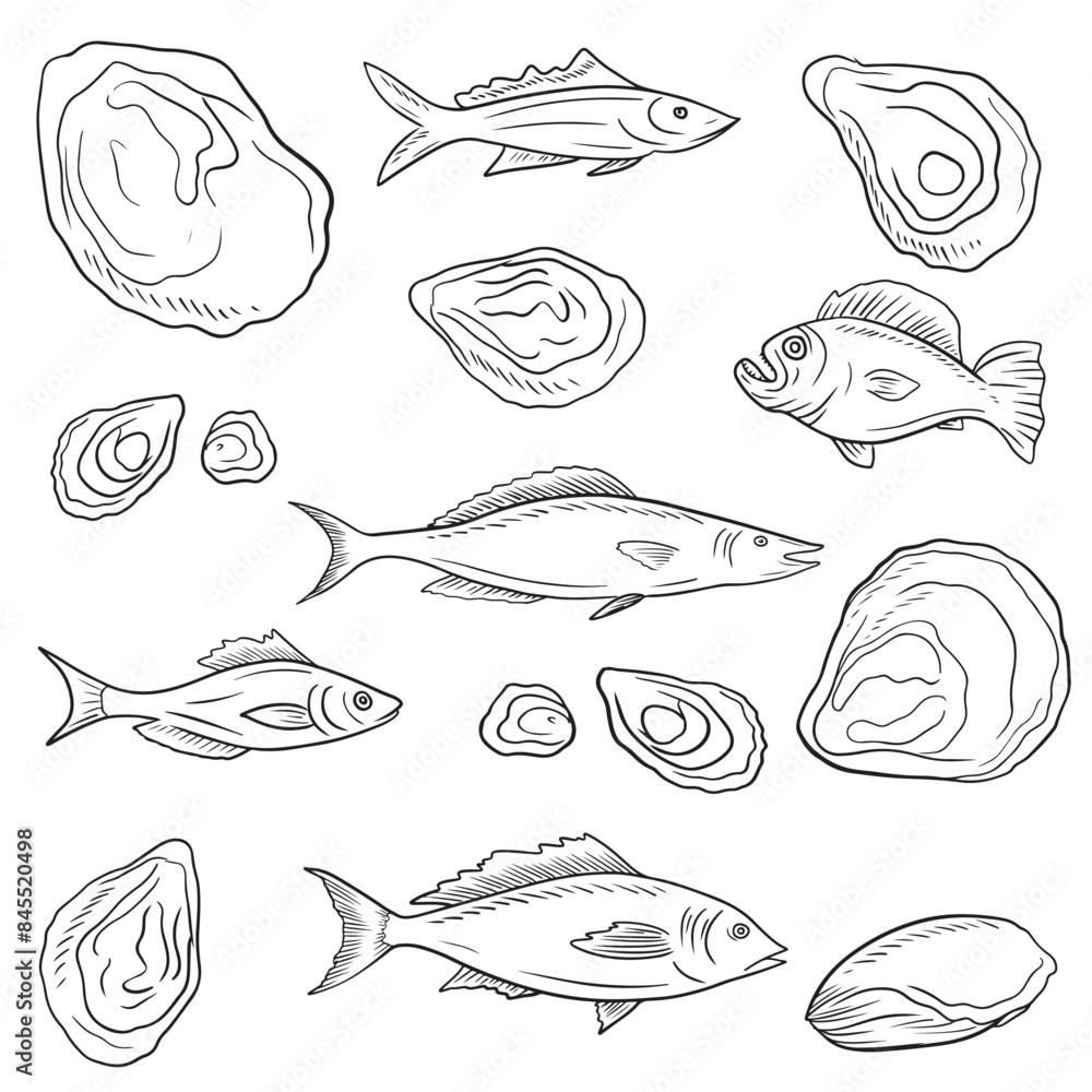 Set of different kinds of seafood: fish, salmon, carp, dorado, drum ...