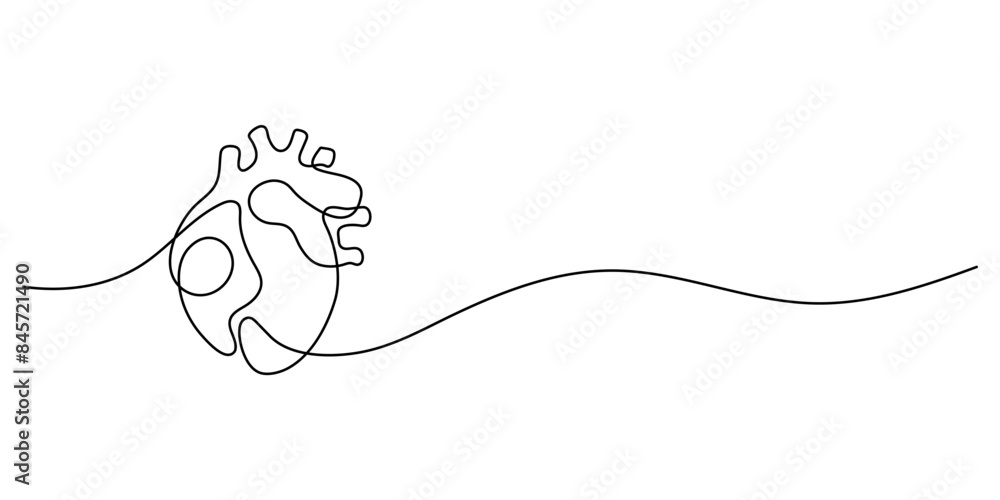 Human heart internal organ in continuous line drawing on white ...