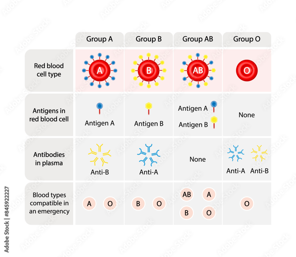 Blood donation background. Abo Blood Group Concept Design. ABO Blood ...