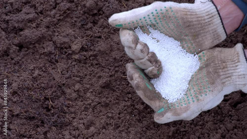 Potassium nitrogen fertilizers in hands of farmer. Top view for control ...