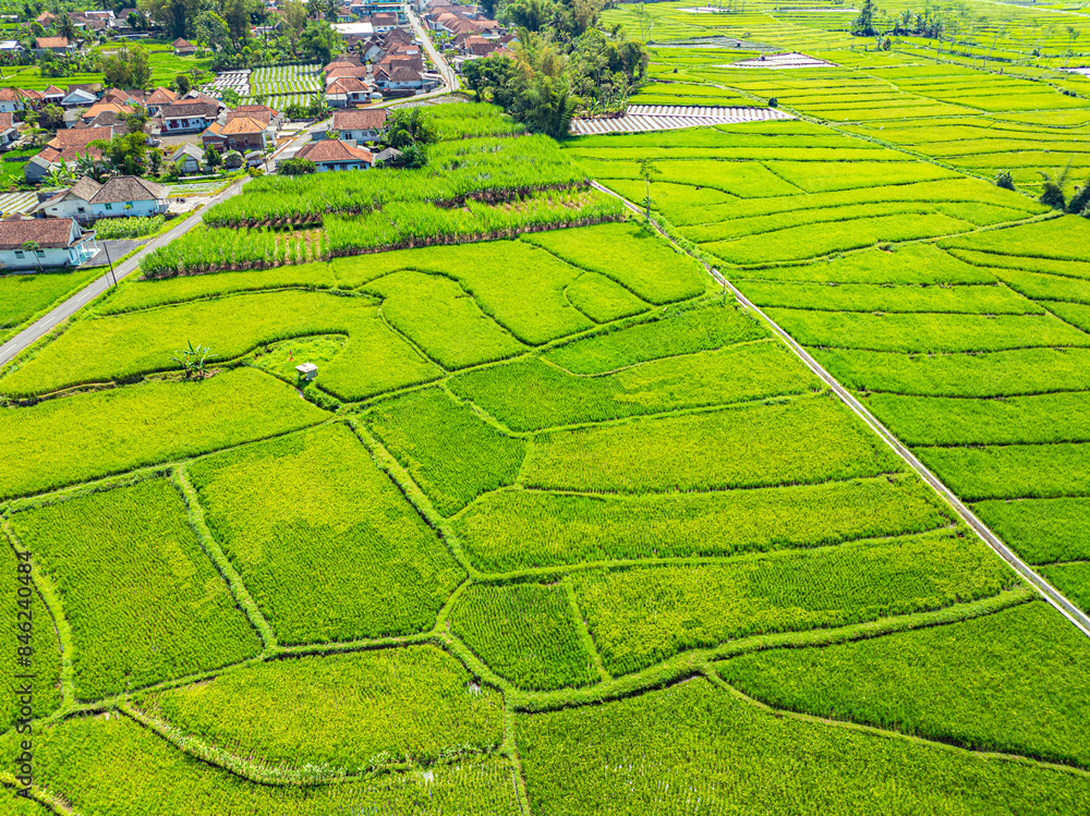 Aerial view rice field in front of Simbar Semeru volcano. the highest ...
