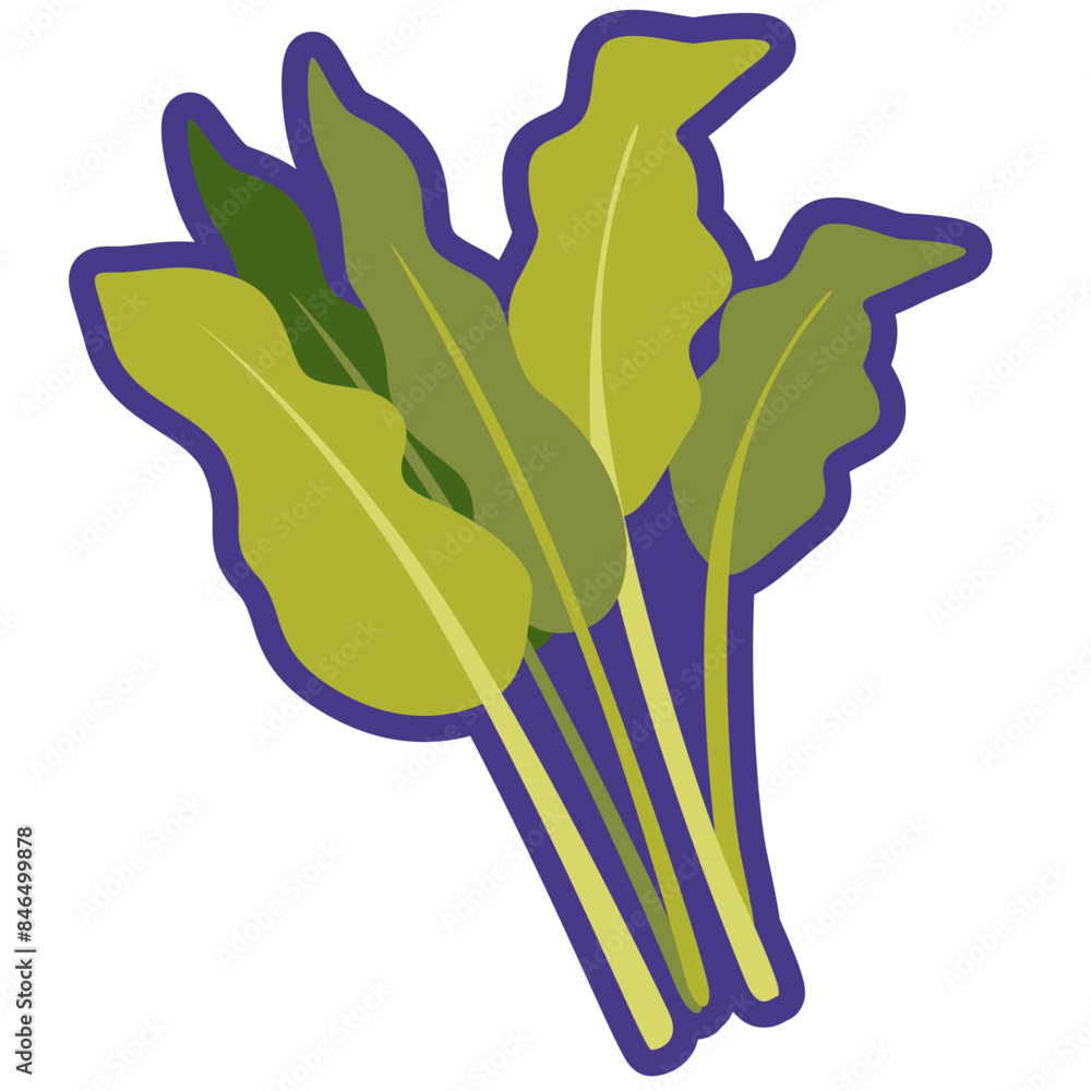 Water spinach vegetable cartoon icon vector illustration, morning glory ...