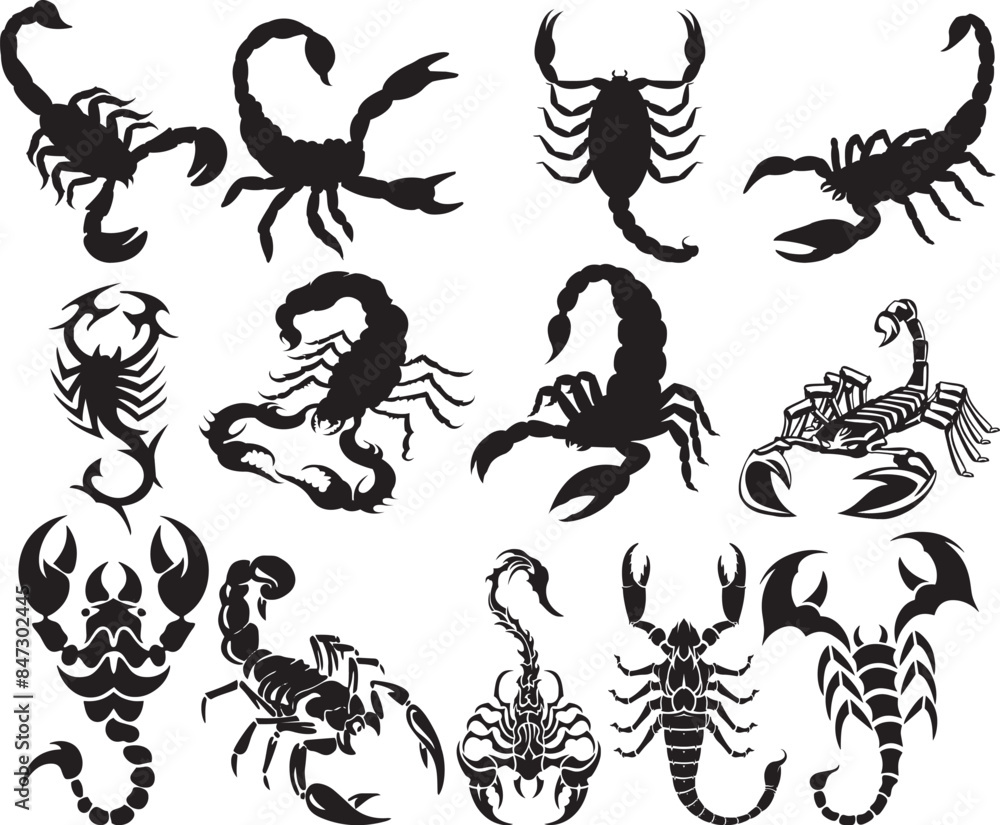 Scorpion SVG Bundle, Scorpion PNG Bundle, Scorpion Clipart, Scorpion ...