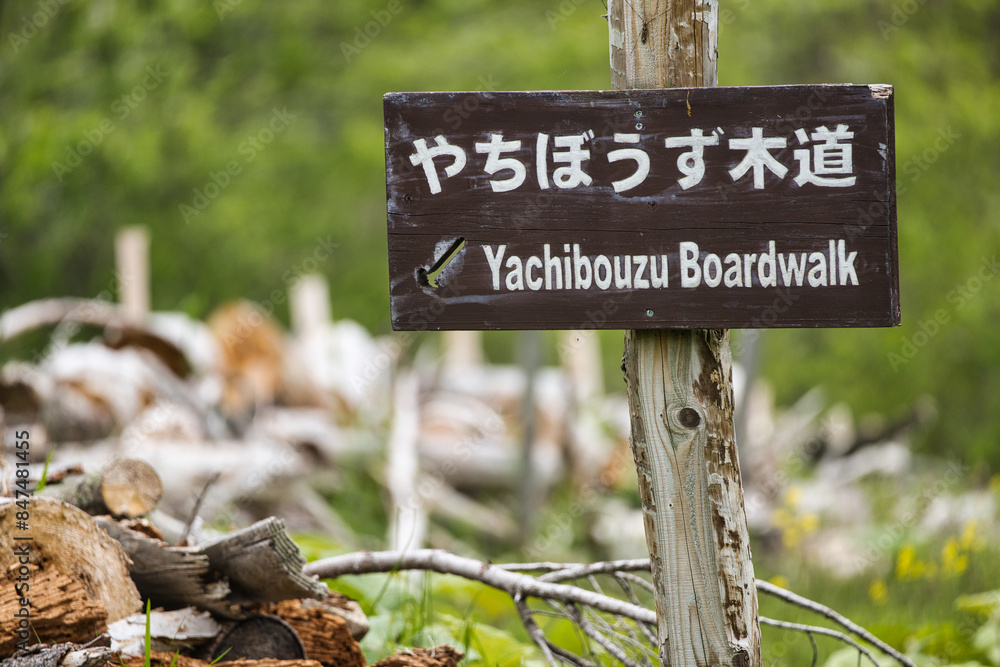 Hokkaido,Japan - June 6, 2024: Yachibouzu Boardwalk at Kiritappu ...