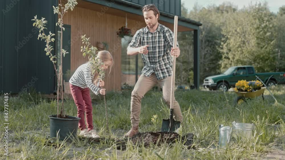 Attractive Caucasian daddy gardening green tree with his lovely ...