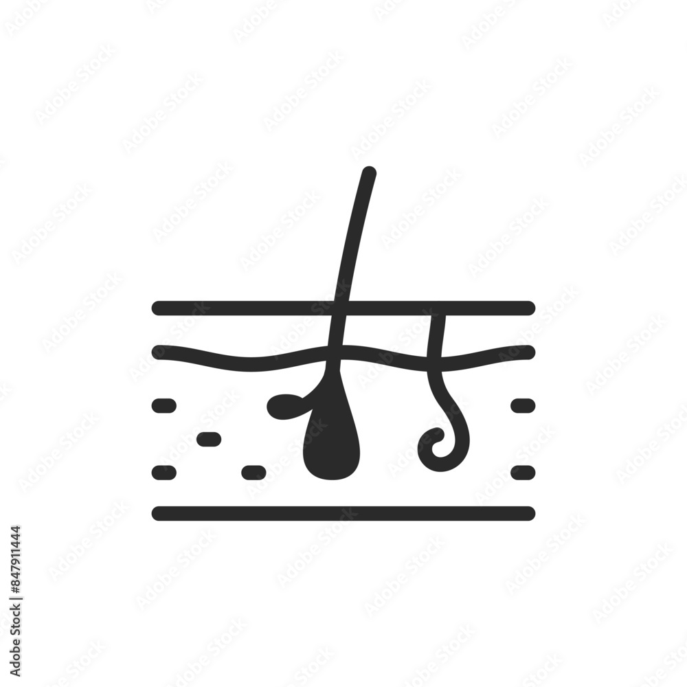 Skin structure, linear style icon. Hair follicle, sebaceous gland ...