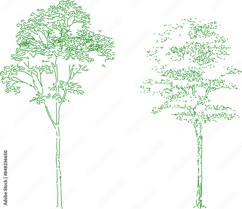 Vecteur Stock Sketsa ilustrasi siluet vektor desain detail tanaman ...