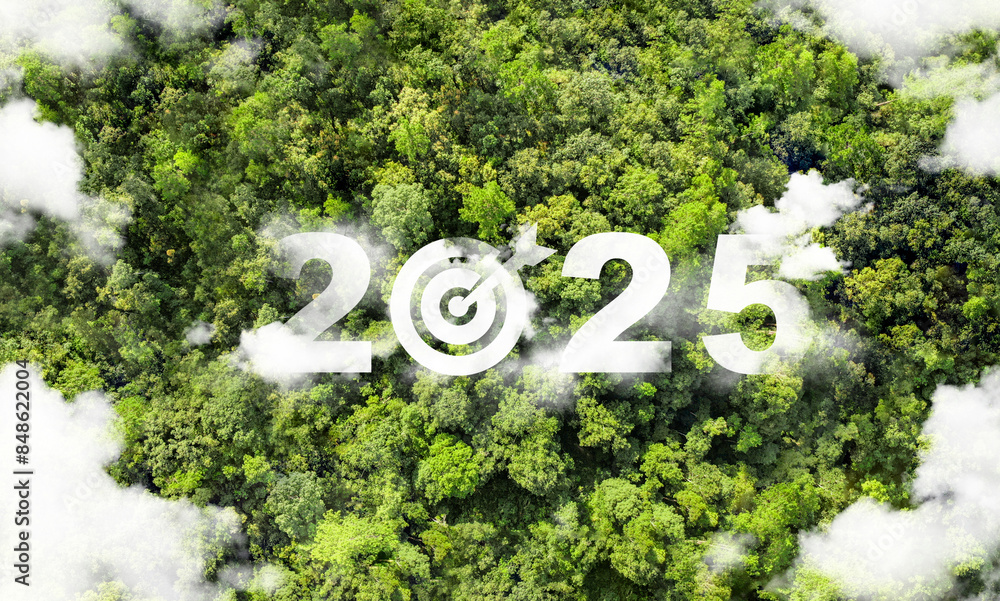 New goals, plans and vision for 2025, sustainable environmental ...