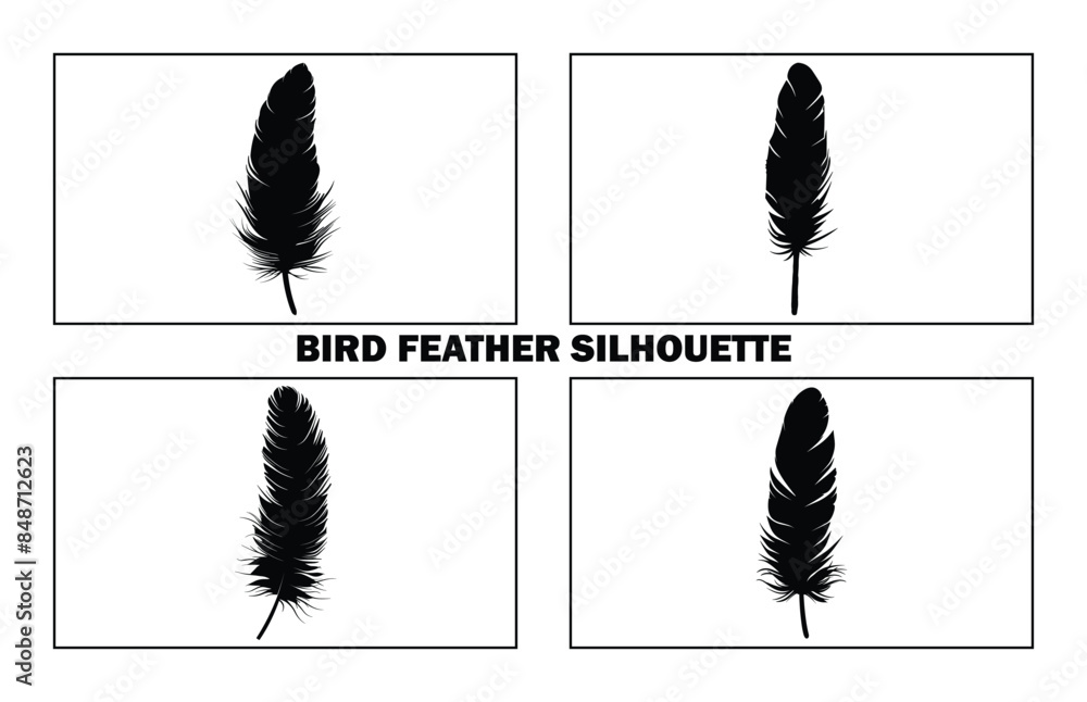 Cute Bird Feather Silhouette Illustration, Bird Feather Vector icon ...
