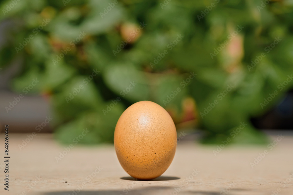 An egg is placed in an upright position during the peh cun (boat rowing ...