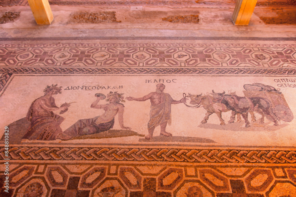Mosaics in the Villa of Dionysus, in the House of Theseus ...