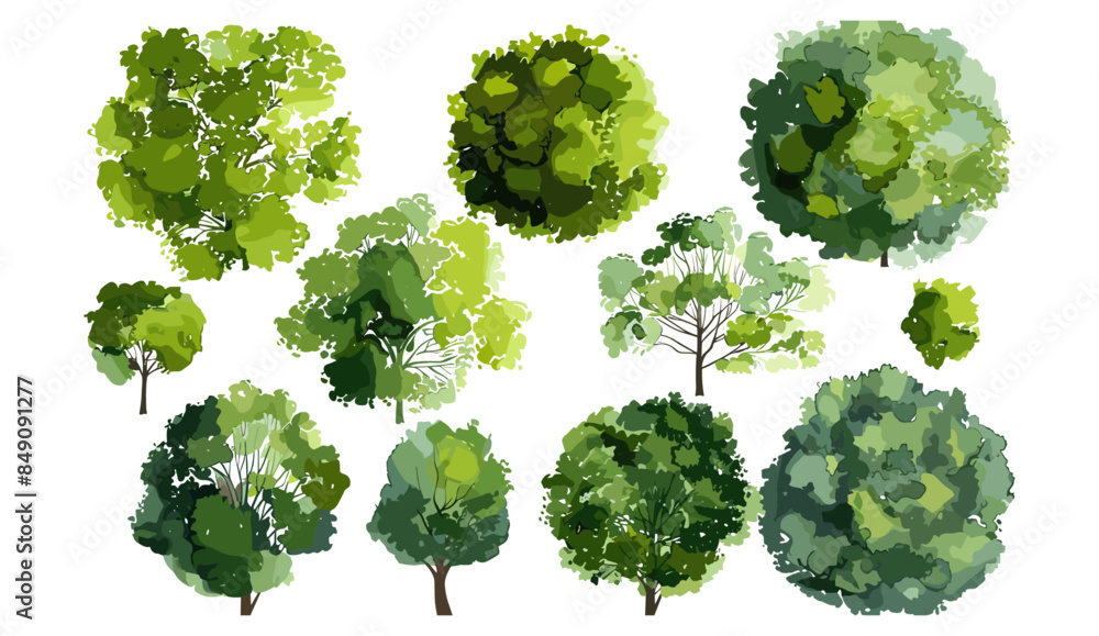Vector watercolor hand drawn tree top view isolated on white background ...