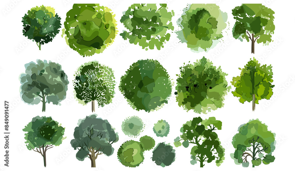 Vector isolated hand drawn watercolor tree top view on white background ...