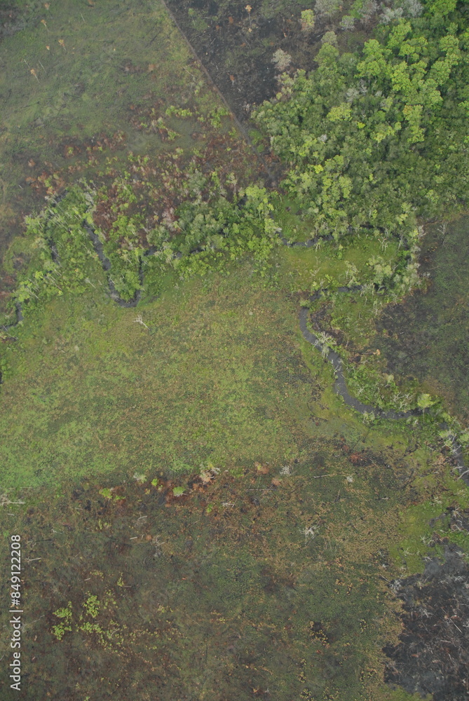 concerning ariel view of the jungle rain forest canopy damaged by slash ...