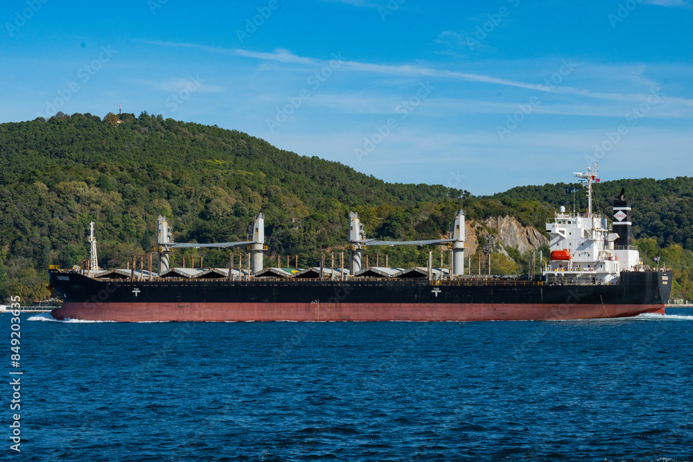Big bulk carrier container ship navigating through the Bosphorus ...