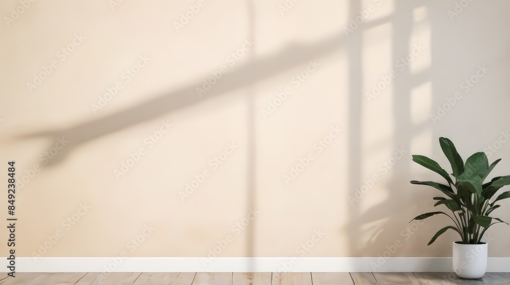 Organic drop shadow on a white wall, overlay effect for photo, mock-ups ...