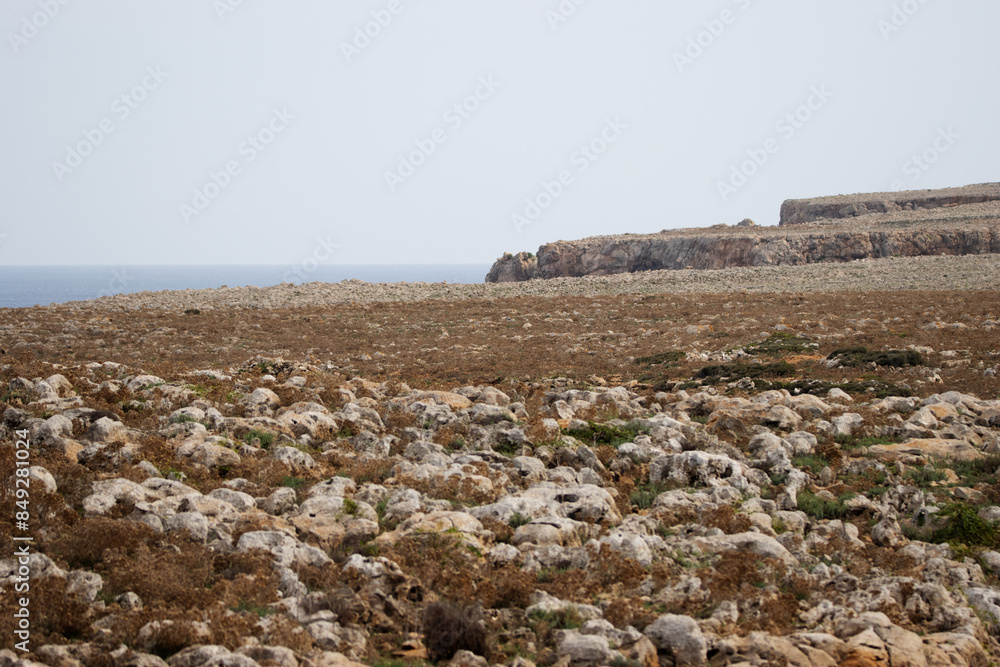 typical barren coast line jagged rocks with few green plants in Menorca ...