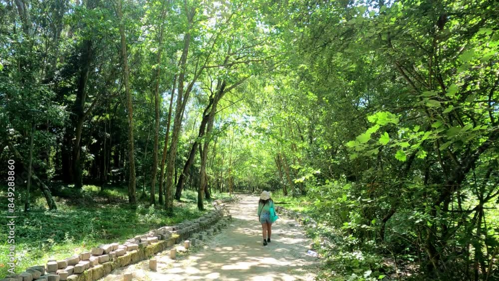 Video Stock **Title: Silent Footsteps: Walking Solo in the Woods ...