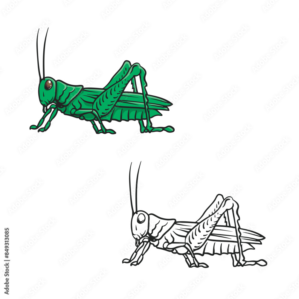 Cartoon grasshopper drawing with line art style. Simple design outline ...