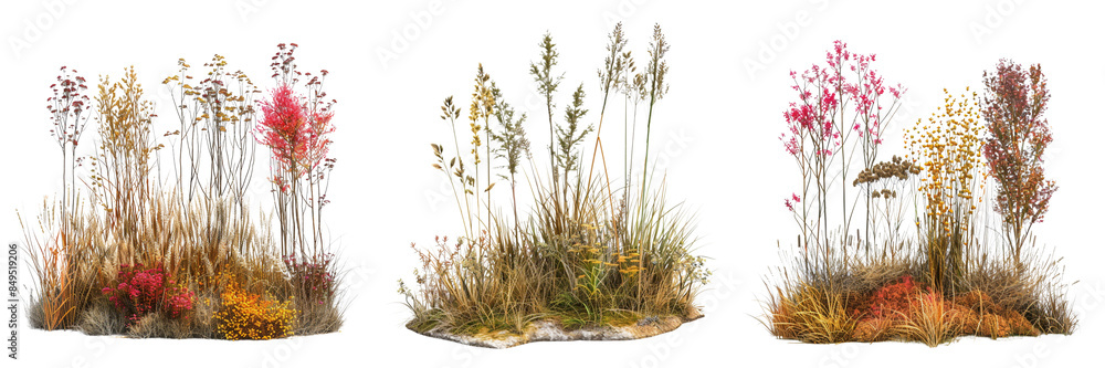 Set of A panoramic view of a mixed prairie grass bed during golden hour ...