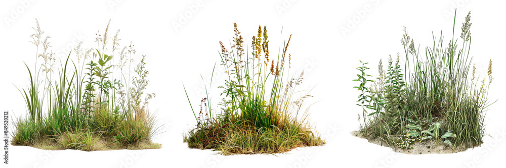 Set of A panoramic view of a mixed prairie grass bed during golden hour ...