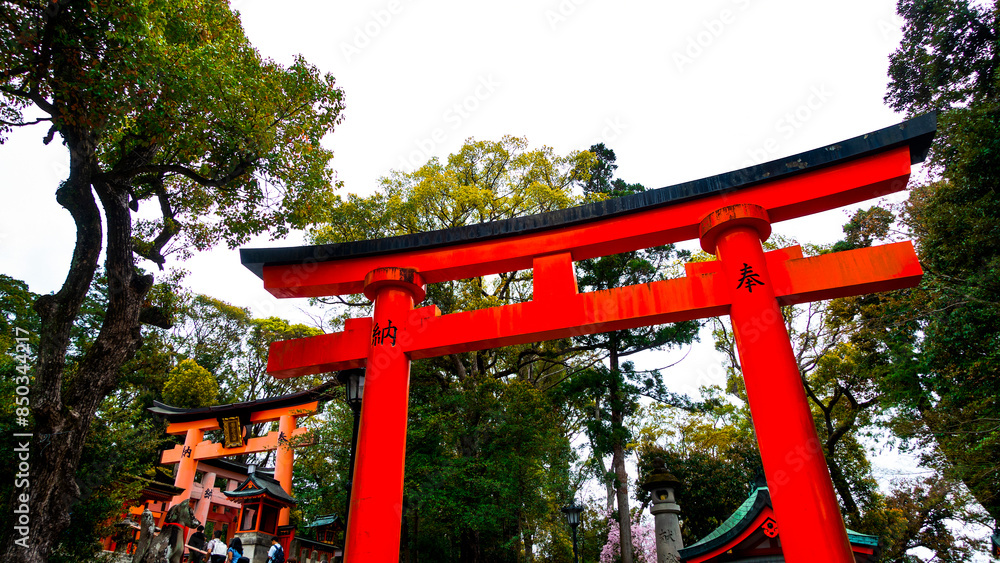 JAPAN, KYOTO – April 2024: the famous torii red wooden gates at Fushimi ...