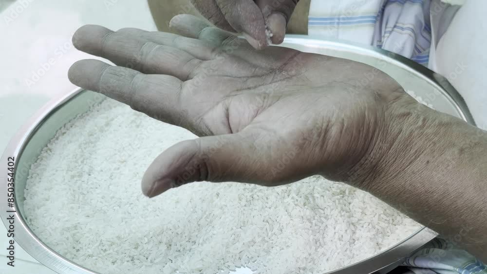 Poverty concept: Man removes Rice weevils from rice, rice in dirty male ...