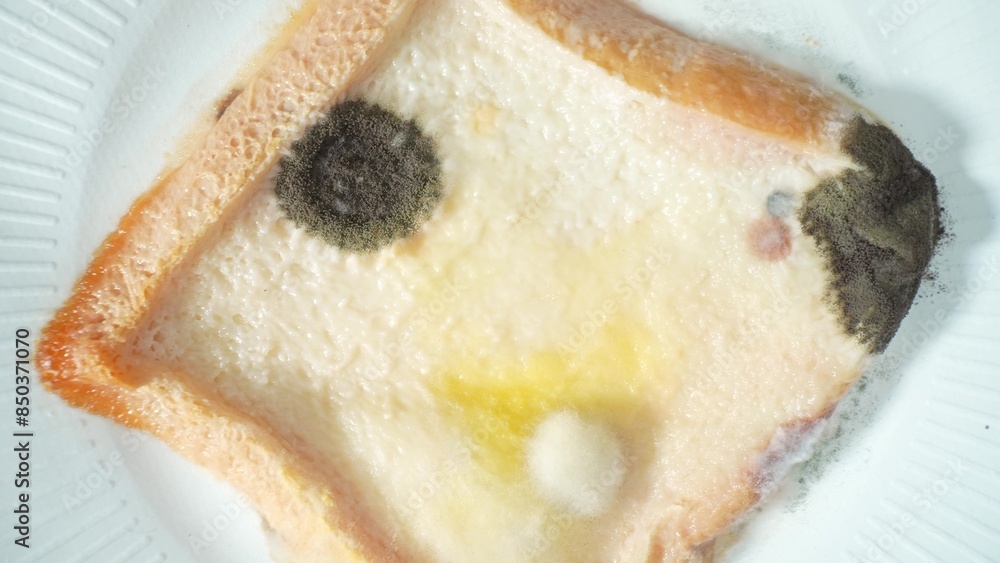 A close-up reveals bread overrun with mold: black tendrils creep, white ...