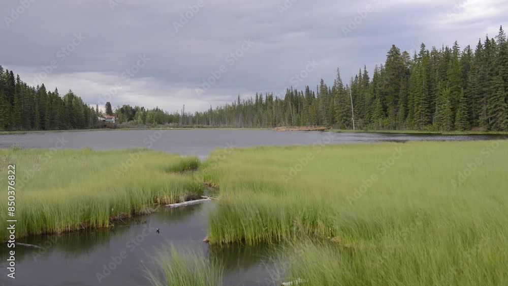 The Beaver Boardwalk is a unique, wooden pathway that winds through ...