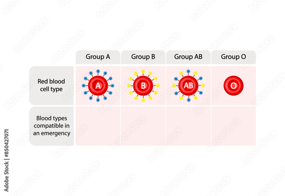 Blood types Compatibility. Blood donation, ABO Blood groups. four blood ...