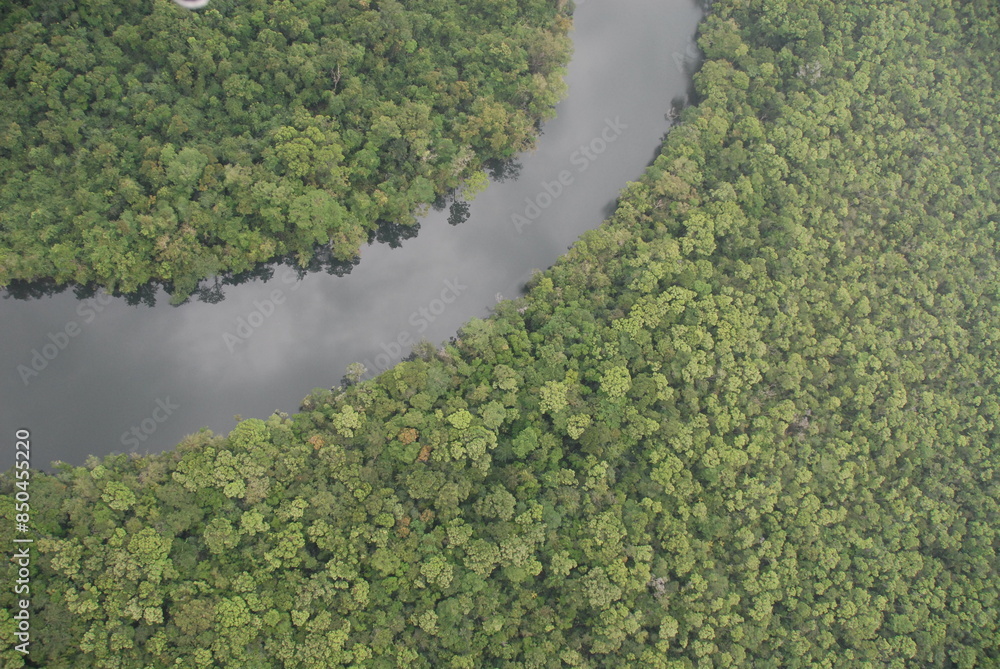 single bend in a river with an riel view of the jungle rain forest ...