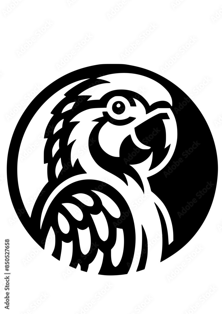 Parrot SVG, Bird SVG, Pirate Bird SVG, Ara parrot SVG, Feathers SVG ...