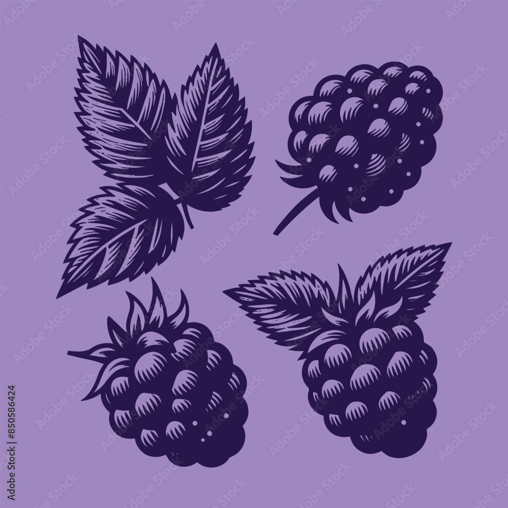 Blackberry. Berry set. Hand drawn engraving vector illustration sketch ...