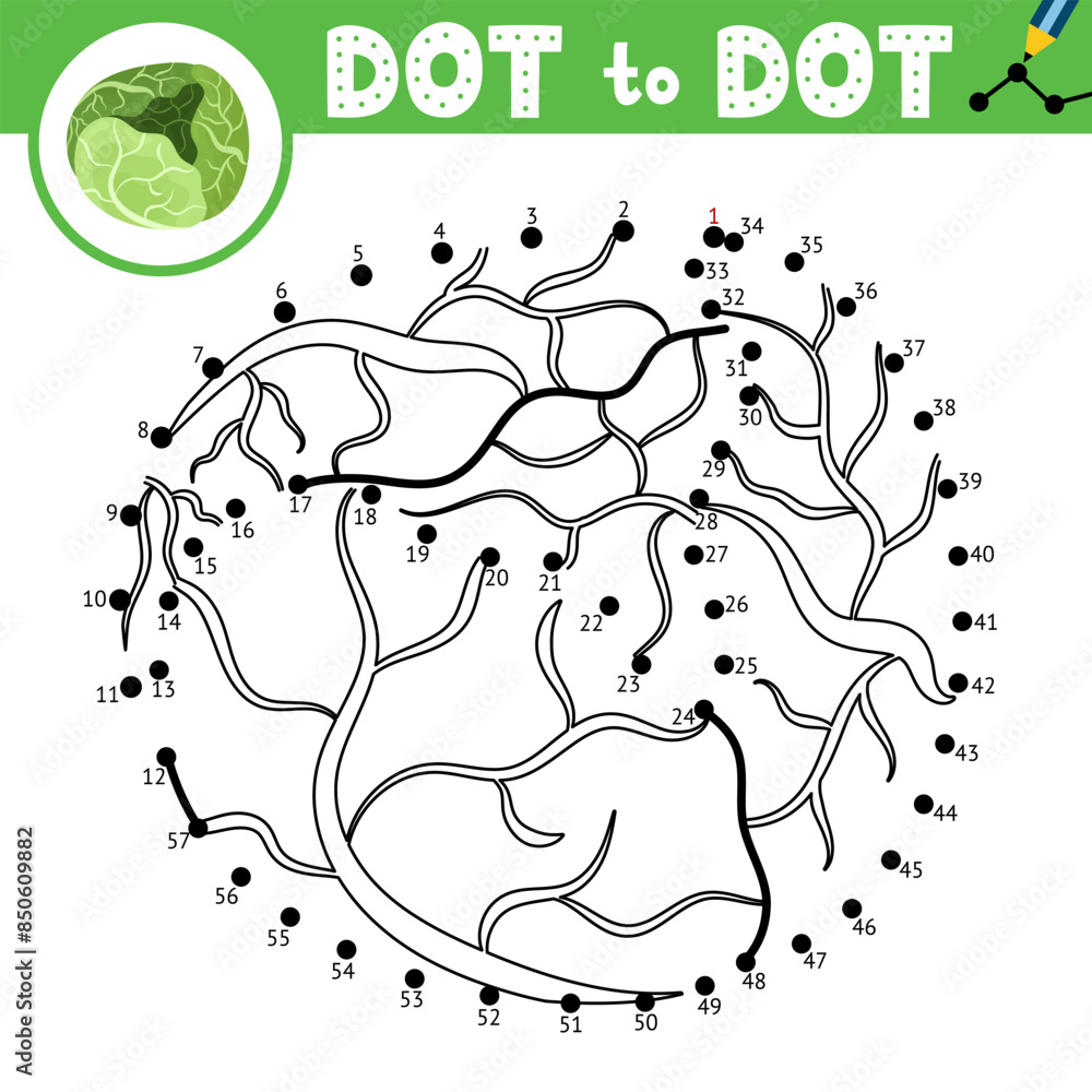 Dot to dot game for kids. Connect the dots and draw a cabbage. Fresh ...