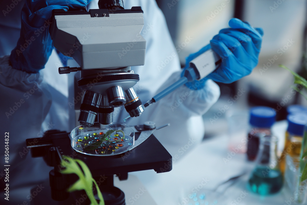 Scientist cutting plant tissue culture in petri dish, performing ...