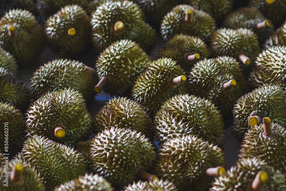 Durian fruit for sale to buyers in the Thai fruit market Durian is known as the fruit king of ...