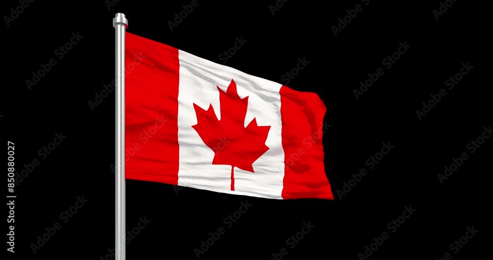 Canada flag. Canada independence day. 3d animation Canada flag day ...
